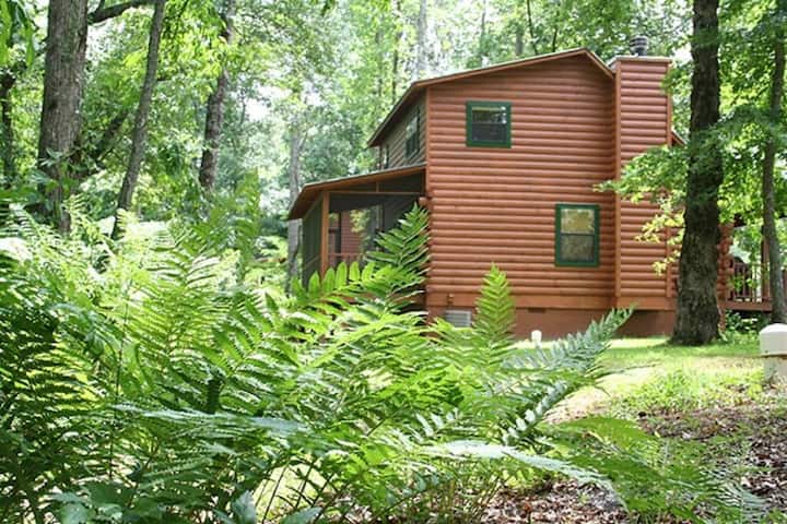 Cabin - Stearman In The Mountains - Suches, GA