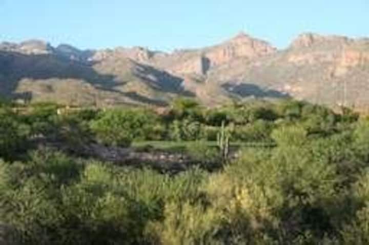 Picture Window Perfect-1 Bedrm/den Stunning Mountain View- Many Upgrades!!! - Arizona