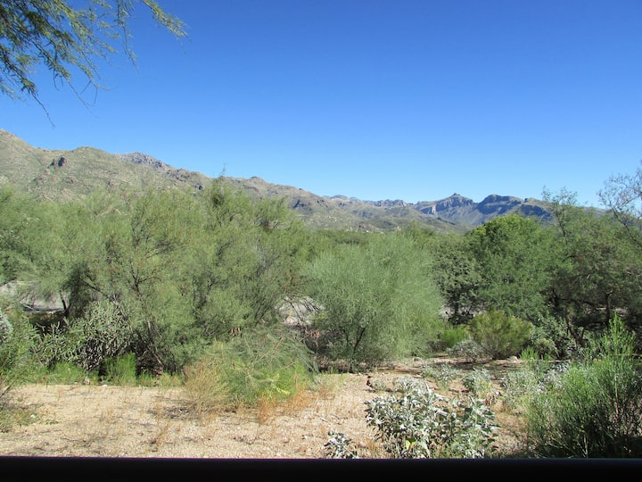 Casita-single Story-wood Floors-high Ceilings-extended Patio 1mountain Views! - Tucson, AZ