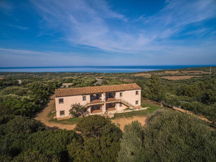 B Giagumeddu 09a Bilo - Sardinia