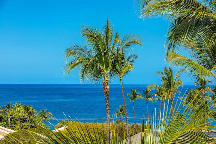 Full Oceanview Across Kam Ll  Wifi Pool Kad513 - Kihei, HI