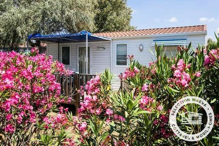 Mobil Home 4 Pièces 6 Personnes + Tv 144913 - Mèze