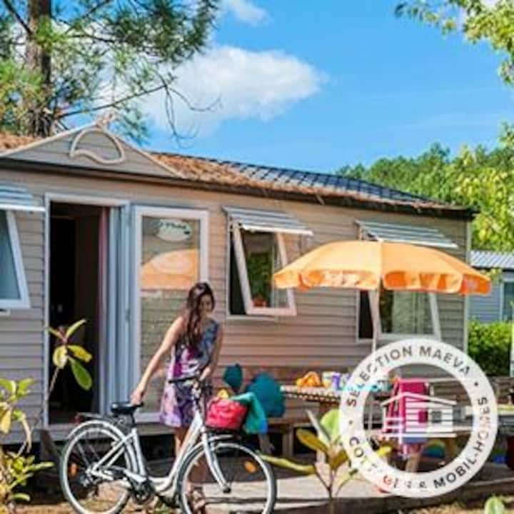 Mobil Home 3 Pièces 5/6 Personnes + Tv 198458 - Salles-Curan