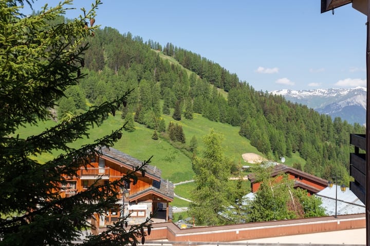 Studio 4 Personnes - Sélection 253574 - Aime-la-Plagne