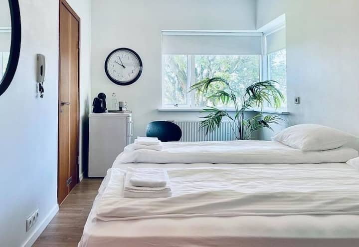 Day Dream Soleyjargata - Twin/double - Reykjavik