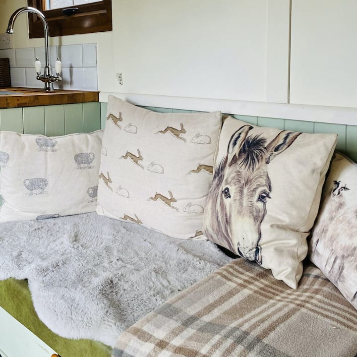 Shepherd's Hut Surrounded By Donkeys - Durham