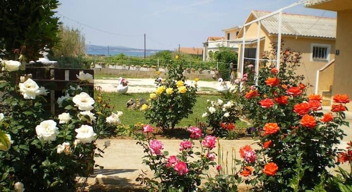 Ferienwohnung 667-3 Für 4 Pers. In Privlaka - Županja