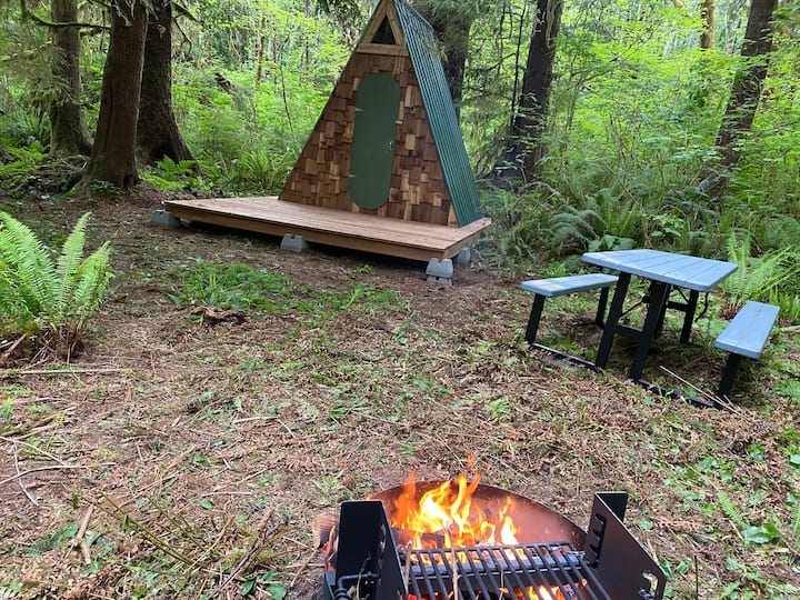Rustic A-frame Shelter In Enchanted Rain Forest - - Forks, WA