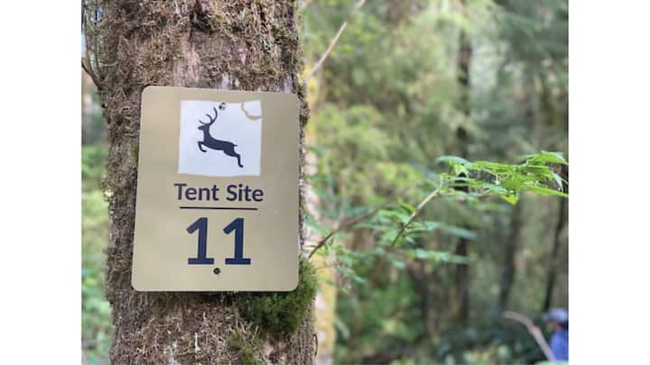Primitive Tent Site In Enchanted Rain Forest - Sit - Forks, WA