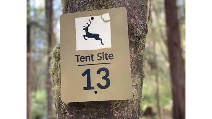 Primitive Tent Site In Enchanted Rain Forest - Sit - Forks, WA