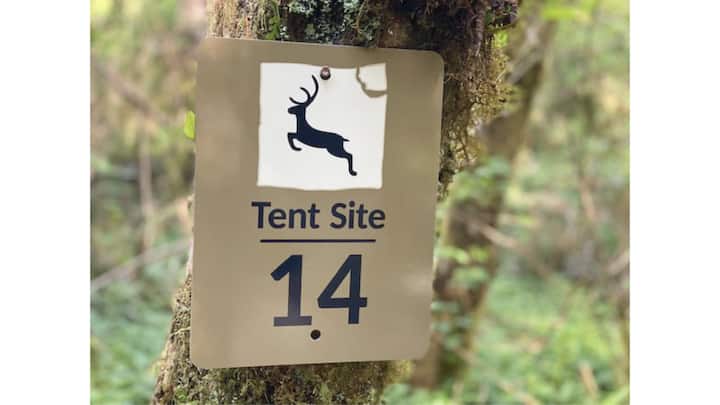 Primitive Tent Site In Enchanted Rain Forest - Sit - Forks, WA