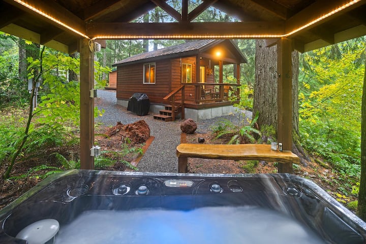 Wolverine Den-ac/hot Tub/wifi - Washington