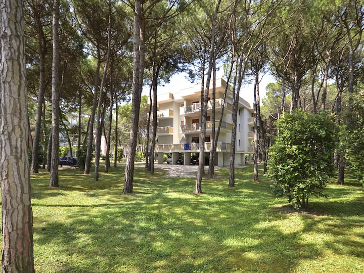 Herrliche Wohnung Für 5 Personen Mit Klimaanlage, Tv, Balkon Und Haustiere Erlaubt - Bibione Pineda