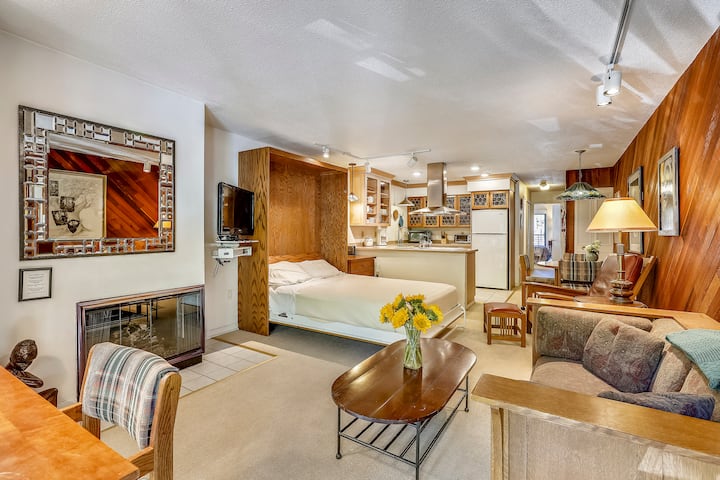 Aspen Extreme Condo With Prime Downtown Location - Aspen, CO
