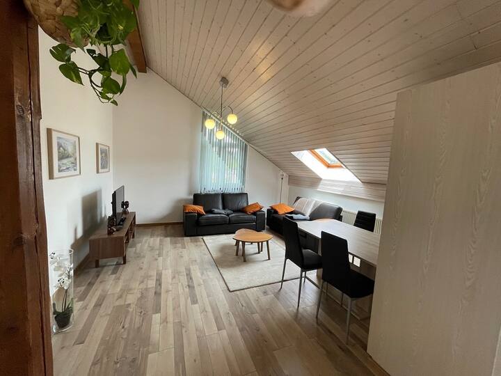 Appartement - Achoumé, (Porrentruy), Appartement (1-4 Pers.) - Porrentruy
