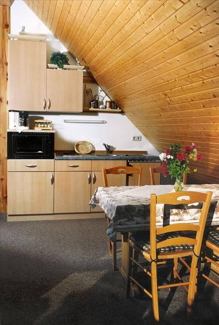 Große Fewo Im Wohnhaus (Fewo/ Gästehaus Ihle) - Holzhau
