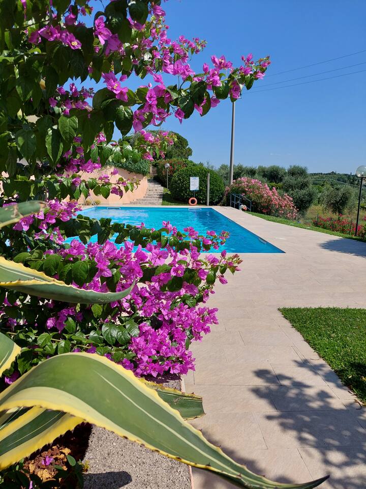 Regarda - "Nido Dell'arte" With Pool And Lake View - Garda