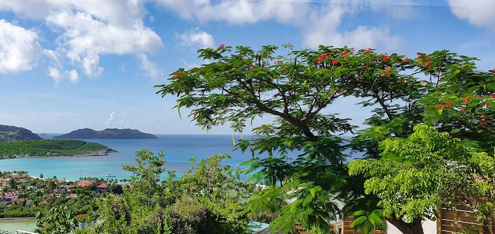 Villa Casanova (1 Bedroom) - Saint-Barthélemy