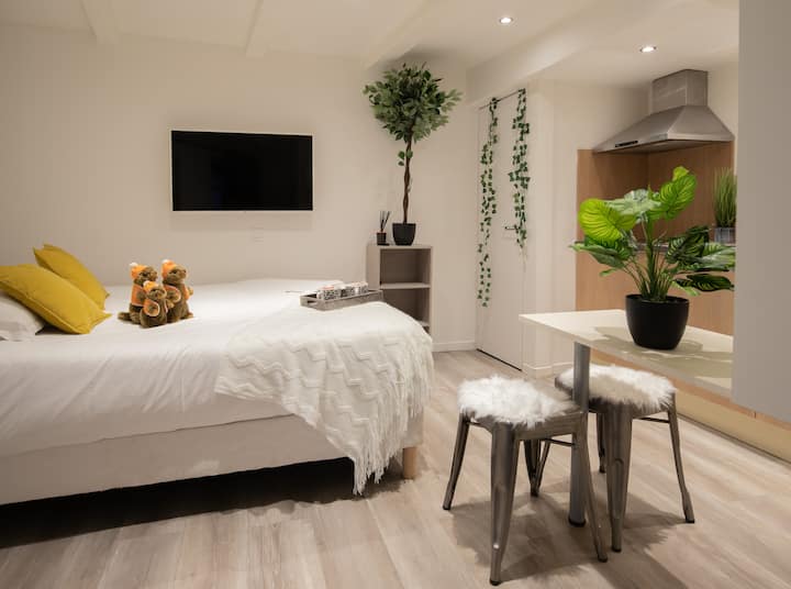 Marmotte Vieille Ville Romantique - Pringy