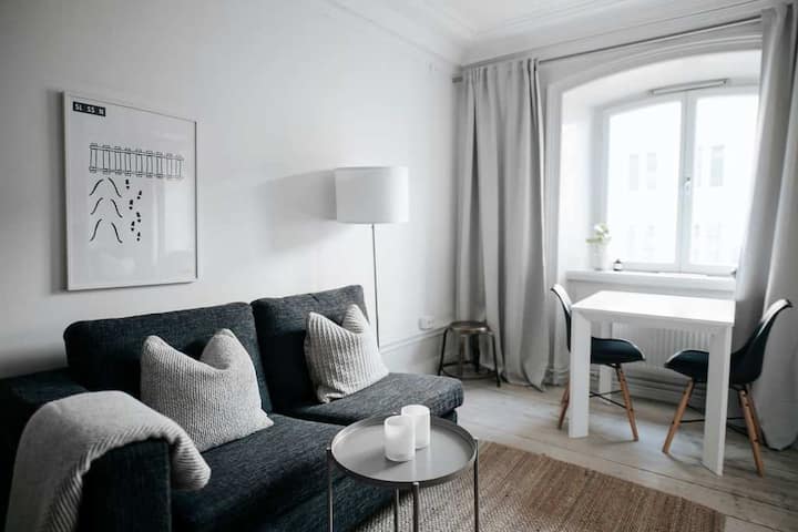 Spacious Apartment In Centre Of Stockholm - 索爾納市