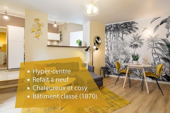 Le Cœur De Ville - Unique - Mont-de-Marsan