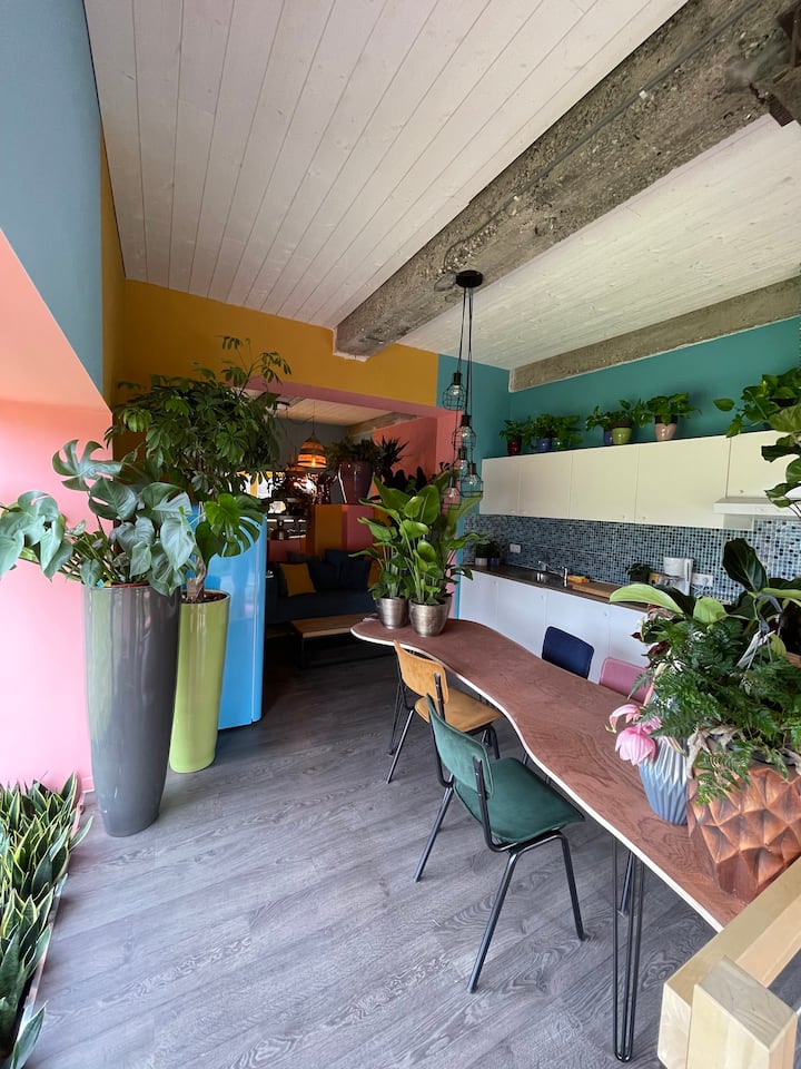 Plantkot, Een Sfeervol Appartement Vol Planten - Ieper