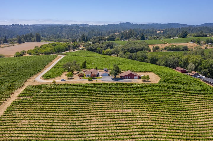 Charming Farm House In The Vineyards On 12 Acres - Sebastopol, CA