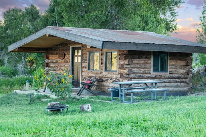 Taylor's Depot Rustic Cabin - Paonia, CO