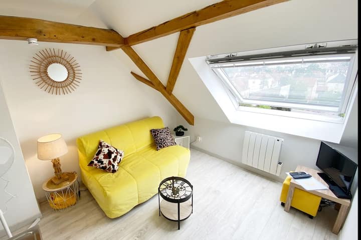 Esprit Jaune - Cosy Studio - Sauna & Sport Gratuit - Mulhouse