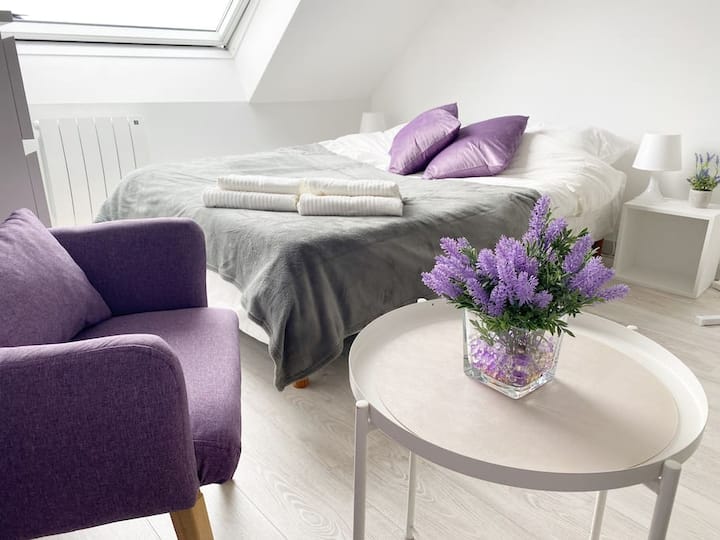 Esprit Violet - Joli Studio- Sauna & Sport Gratuit - Mulhouse