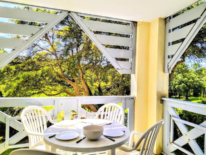 Studio 4 Personnes Confort 338424 - Moliets-et-Maa