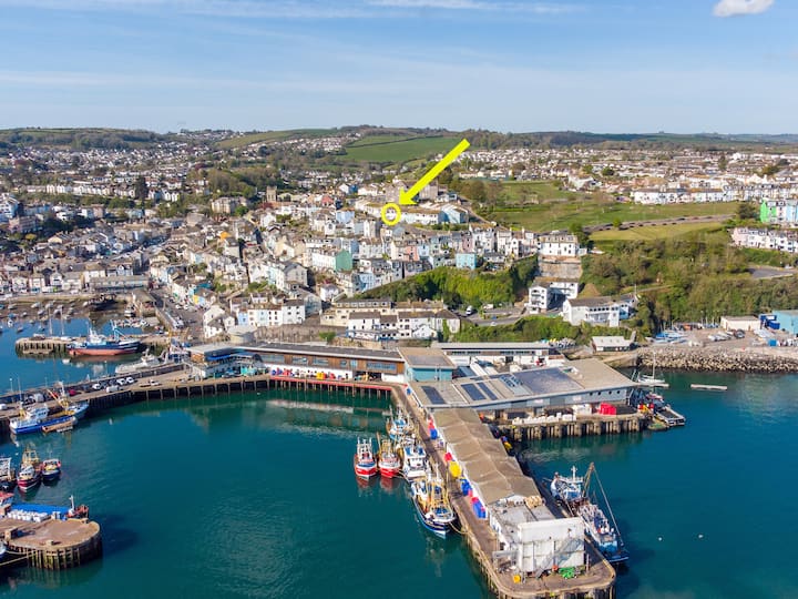 Seagulls View - Paignton