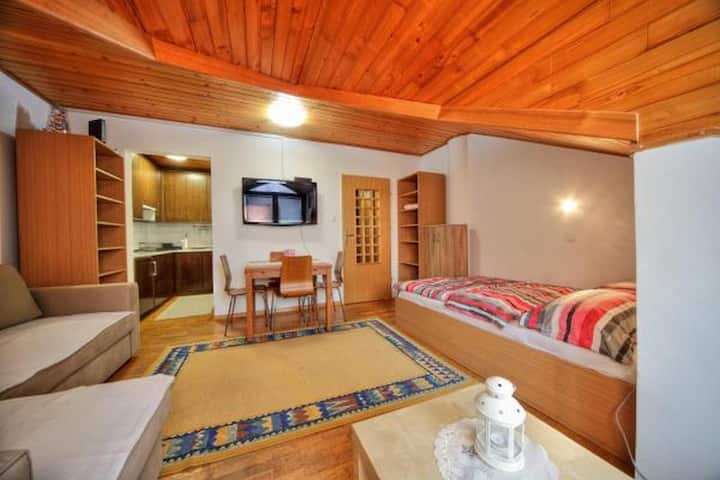 Comfortable Apartment Viki In The Heart Of Kranjska Gora - Podkoren