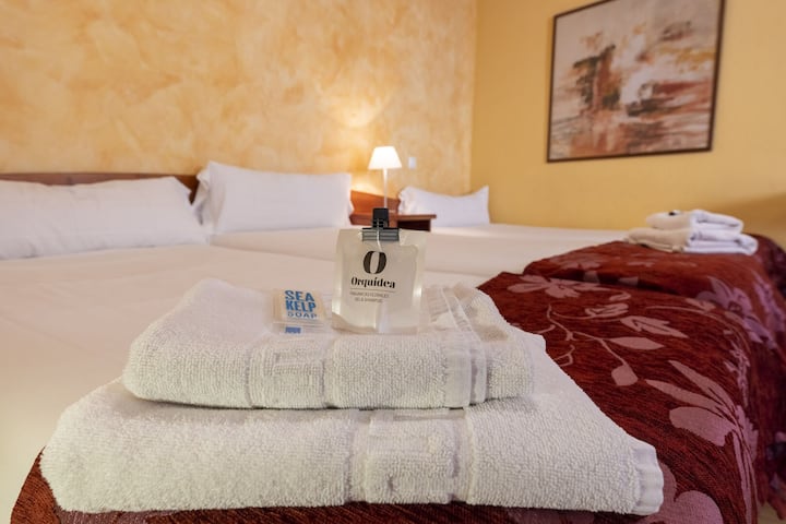 Triple Room In Puerta De Alcázar Hostel - Ávila