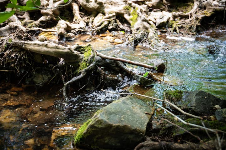 Water Music - Broken Bow, OK