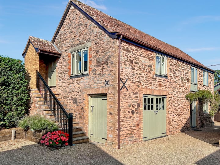 Dragonfly One - Bridgwater