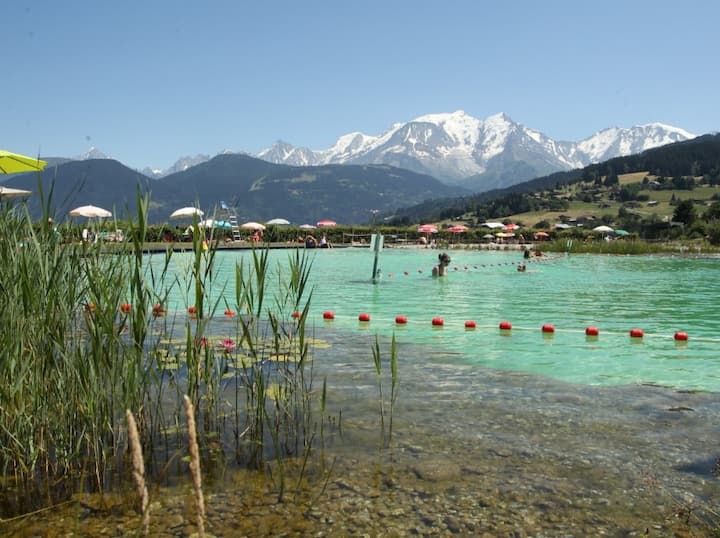 Rayon Des Aravis - Combloux