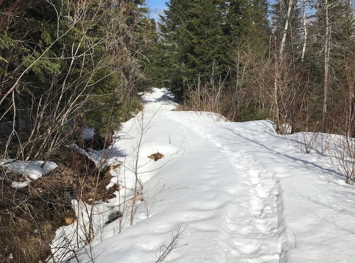 Aux Portes Du Parc National Des Grands-jardins - Charlevoix