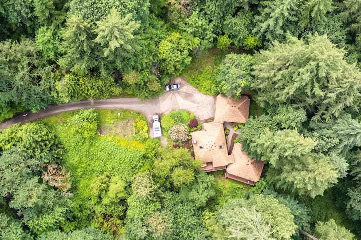 Private Forest Hideaway- Electric Fireplace +Views - Beaverton, OR
