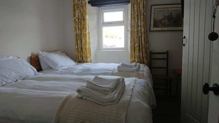 2 Single Bed Small Twin Room - Not Suitable For Do - Tavistock