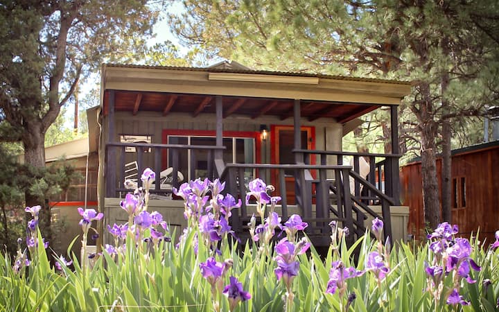 Carter`s Charm Cabin - Ruidoso, NM