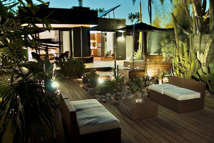 Cactus Flower - Modernist Solar Guesthouse Garden - Santa Monica, CA