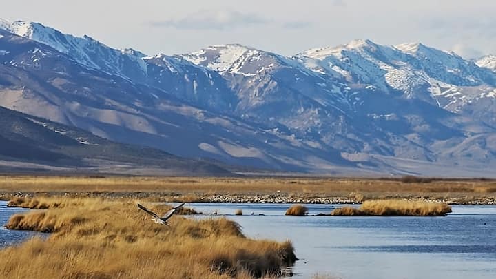 Magnificent Vacay! Two Great Units, Parking, Pool - Elko, NV