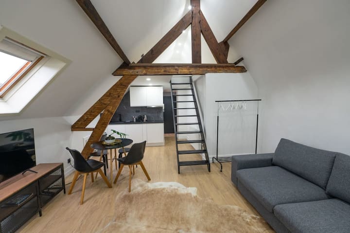 Duplex In Heart Of City Center Ghent - Gand