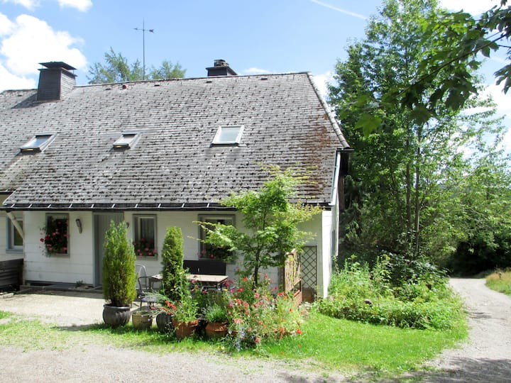 Blechnerhof By Interhome - Saig