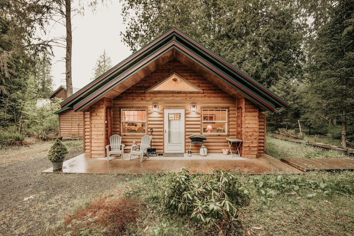 Mt. Baker Rim Cabin #61 -Wi-fi -Hot Tub -Pets Ok - Glacier, WA