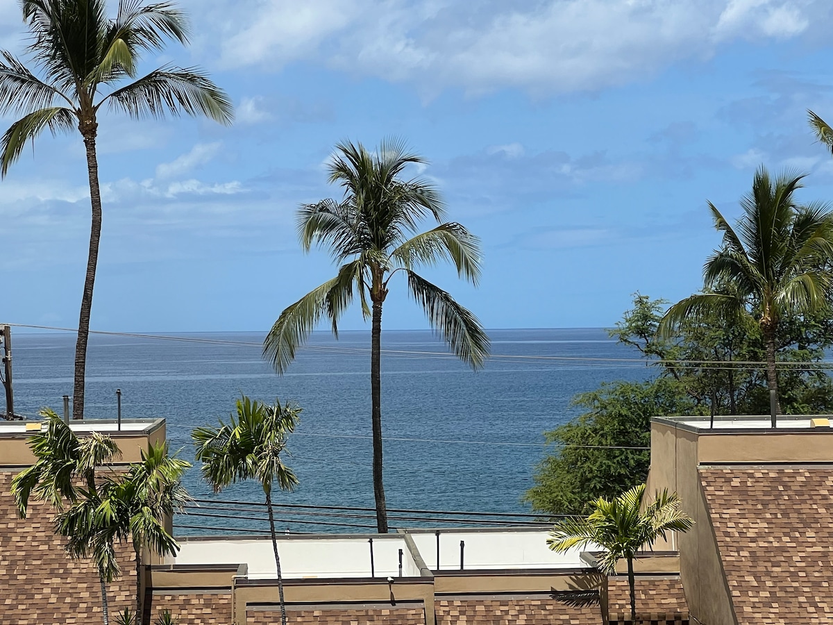Panoramic Ocean View 1Bd/1Ba Near Shops KBR304 - Condominiums for Rent ...