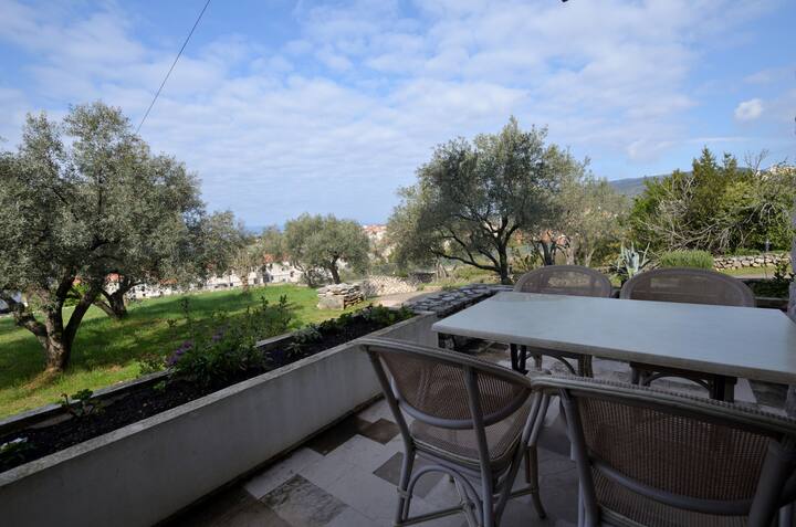 Appartement Ljubomir (67851-a2) - Cres