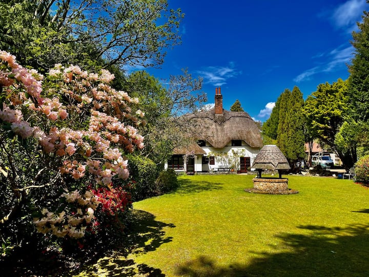 Galtons Cottage Dorset - Wimborne Minster