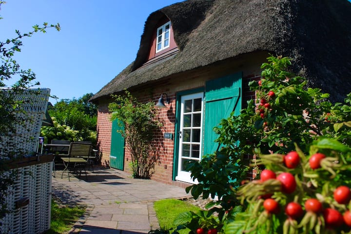 Ferienhaus Für 5 Gäste Mit 75m² In Borgsum (96607) - Nieblum